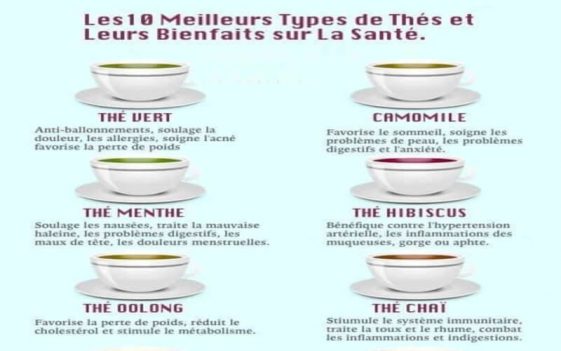 10 Meilleurs Types de Thé et Leurs Bienfaits sur la Santé – Toutes Recettes