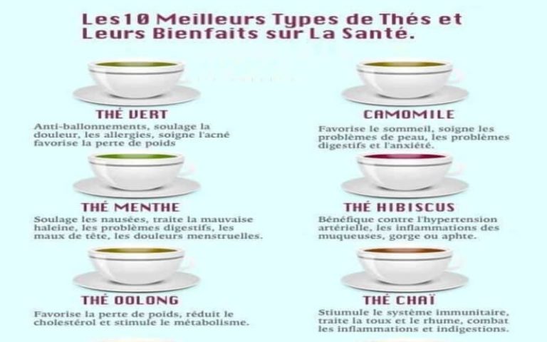 10 Meilleurs Types de Thé et Leurs Bienfaits sur la Santé – Toutes Recettes 10 Meilleurs Types de Thé et Leurs Bienfaits sur la Santé – Toutes Recettes
