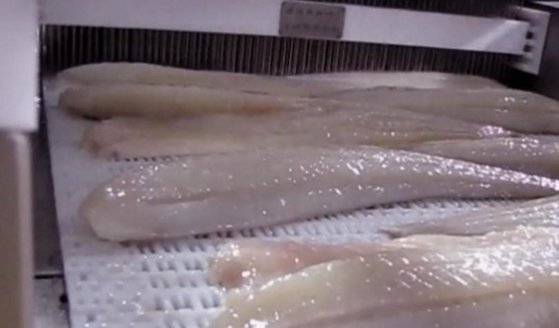 poisson-chinois-1-1000×588 – Toutes Recettes