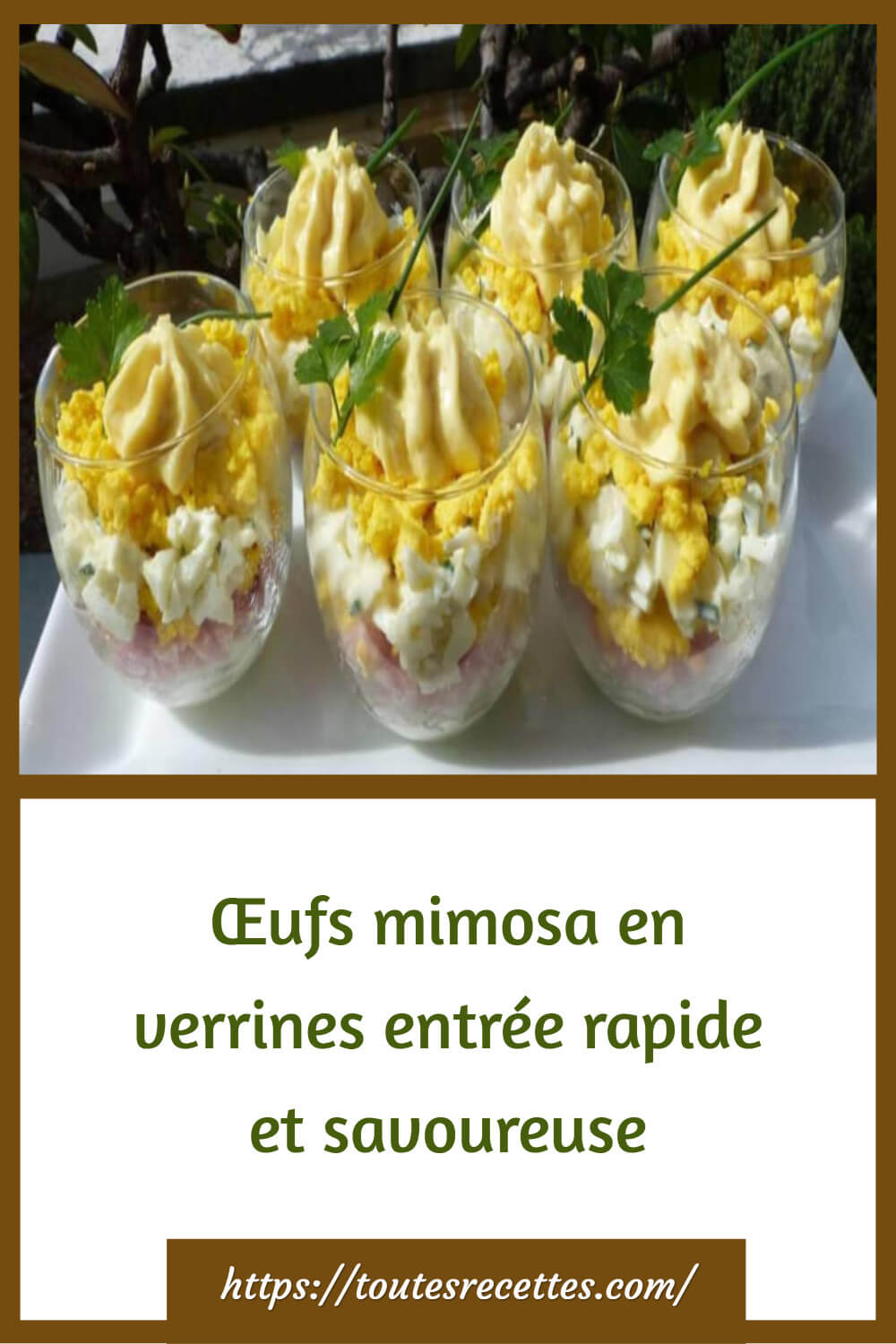 Œufs Mimosa En Verrines Entrée Rapide Toutes Recettes